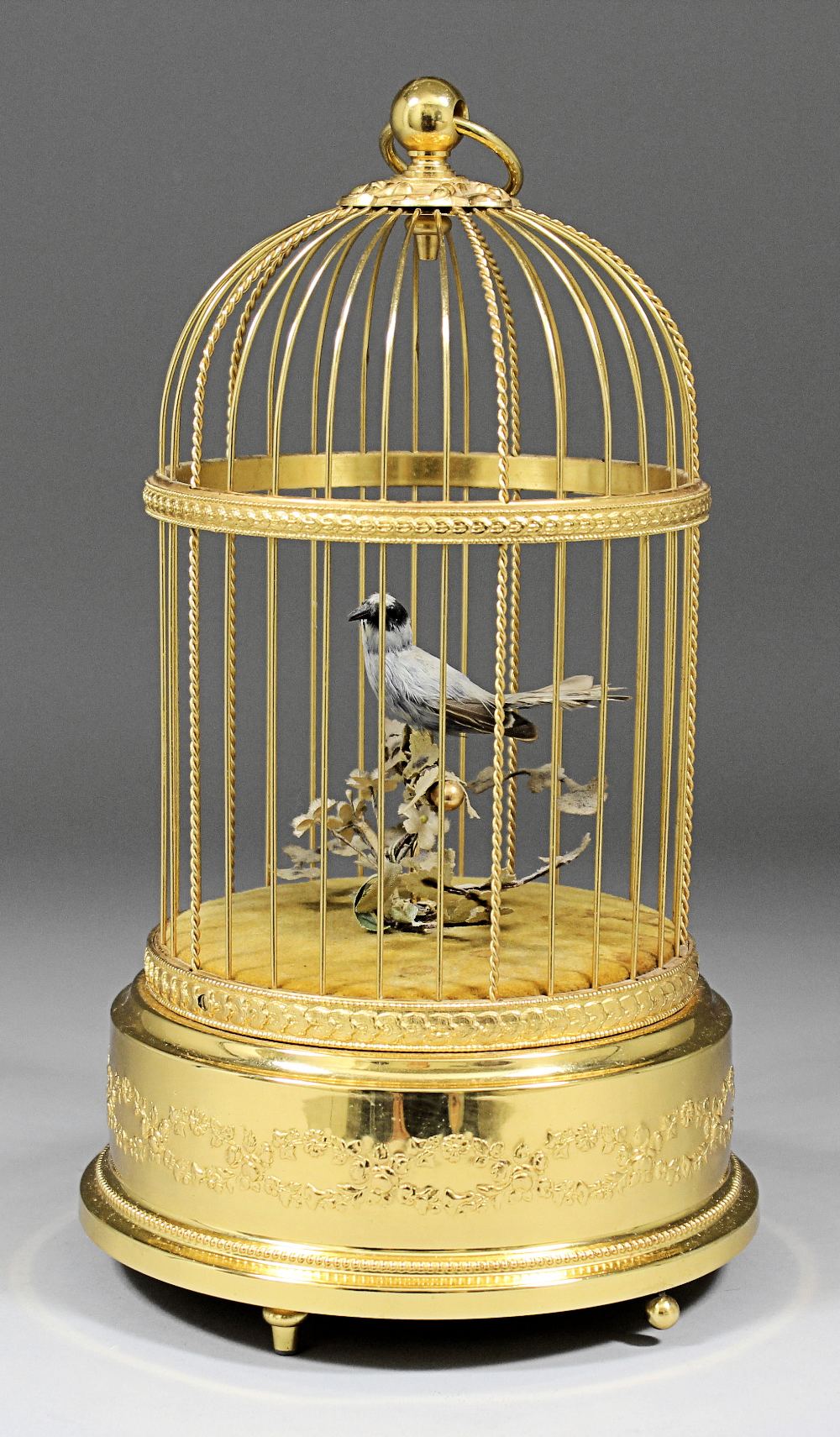 only-a-bird-in-a-gilded-cage | No Place For Sheep